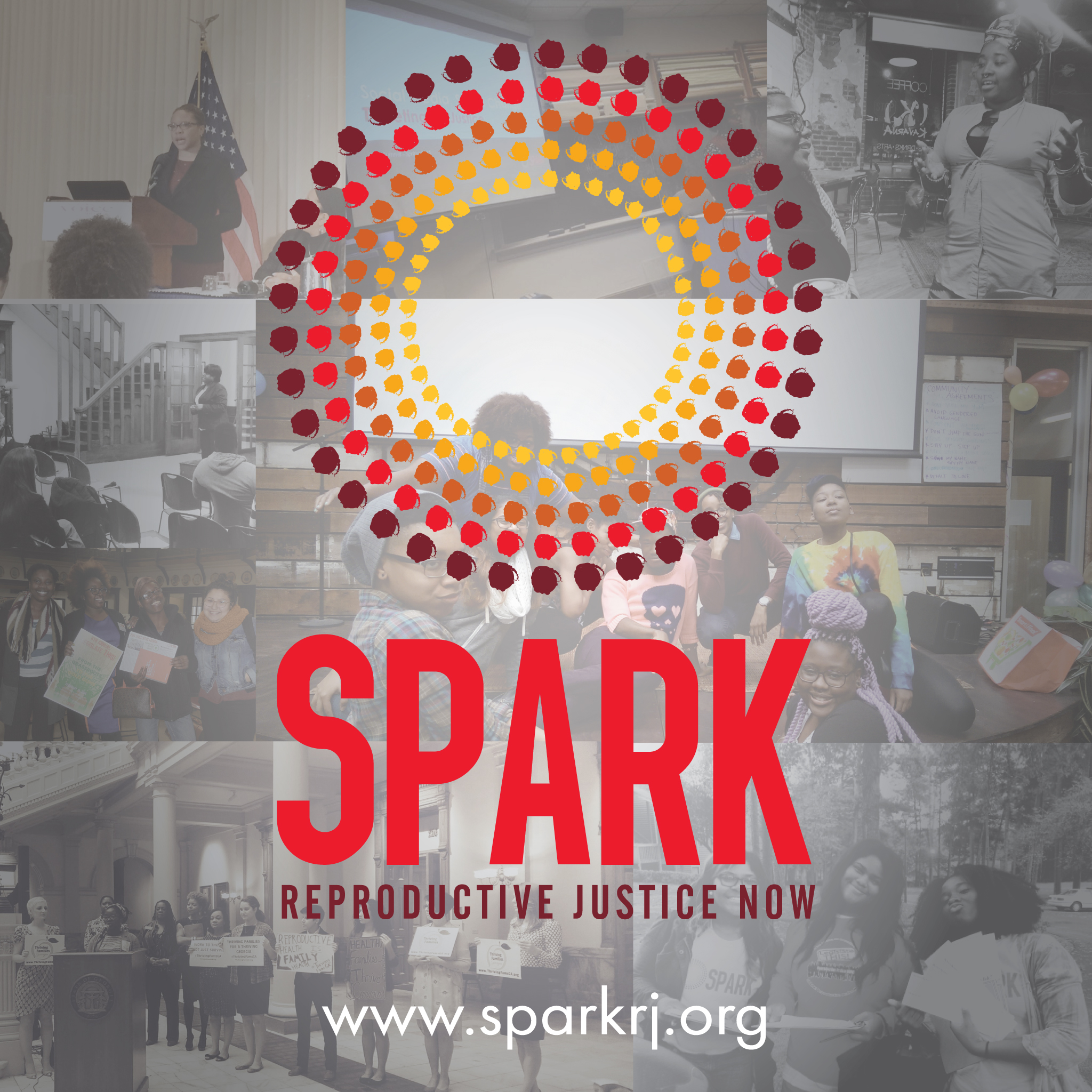 SPARK Organizing Intensive – SPARK Reproductive Justice NOW